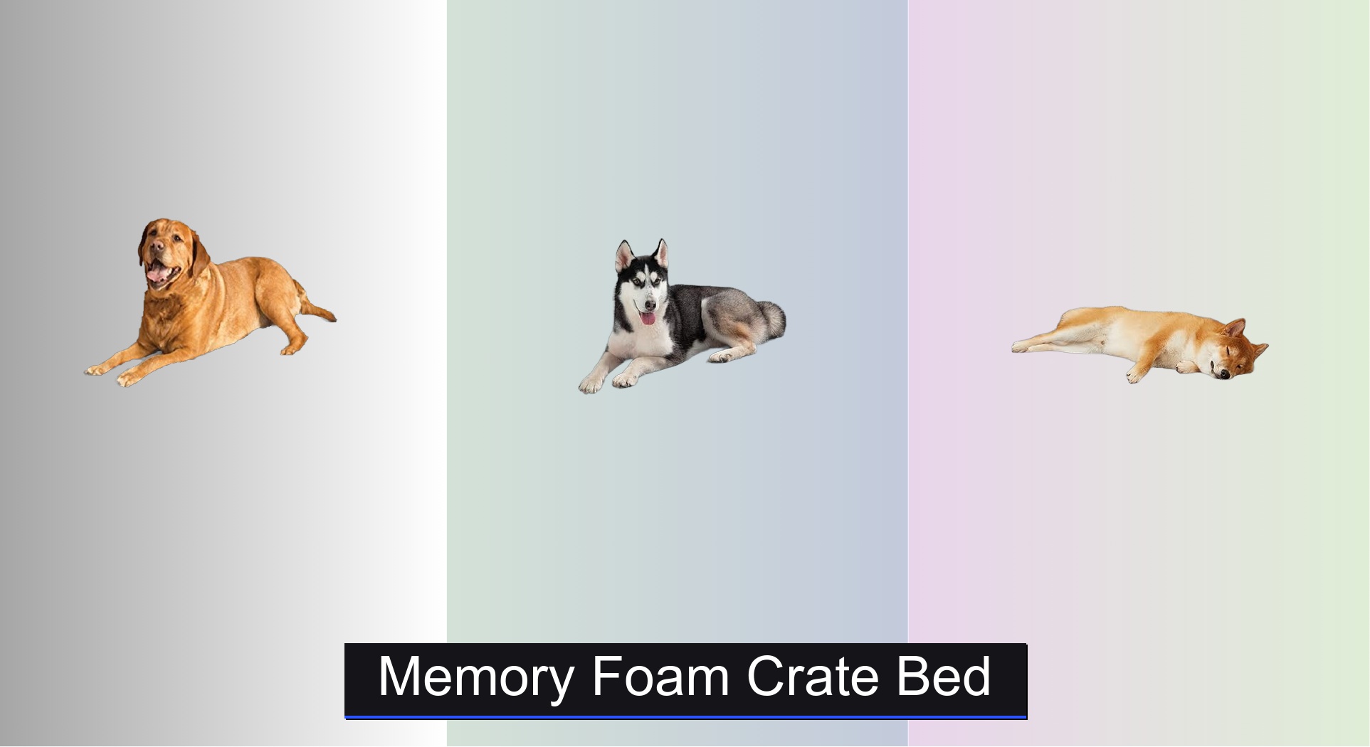 7 Best Memory Foam Crate Beds to Buy in 2025