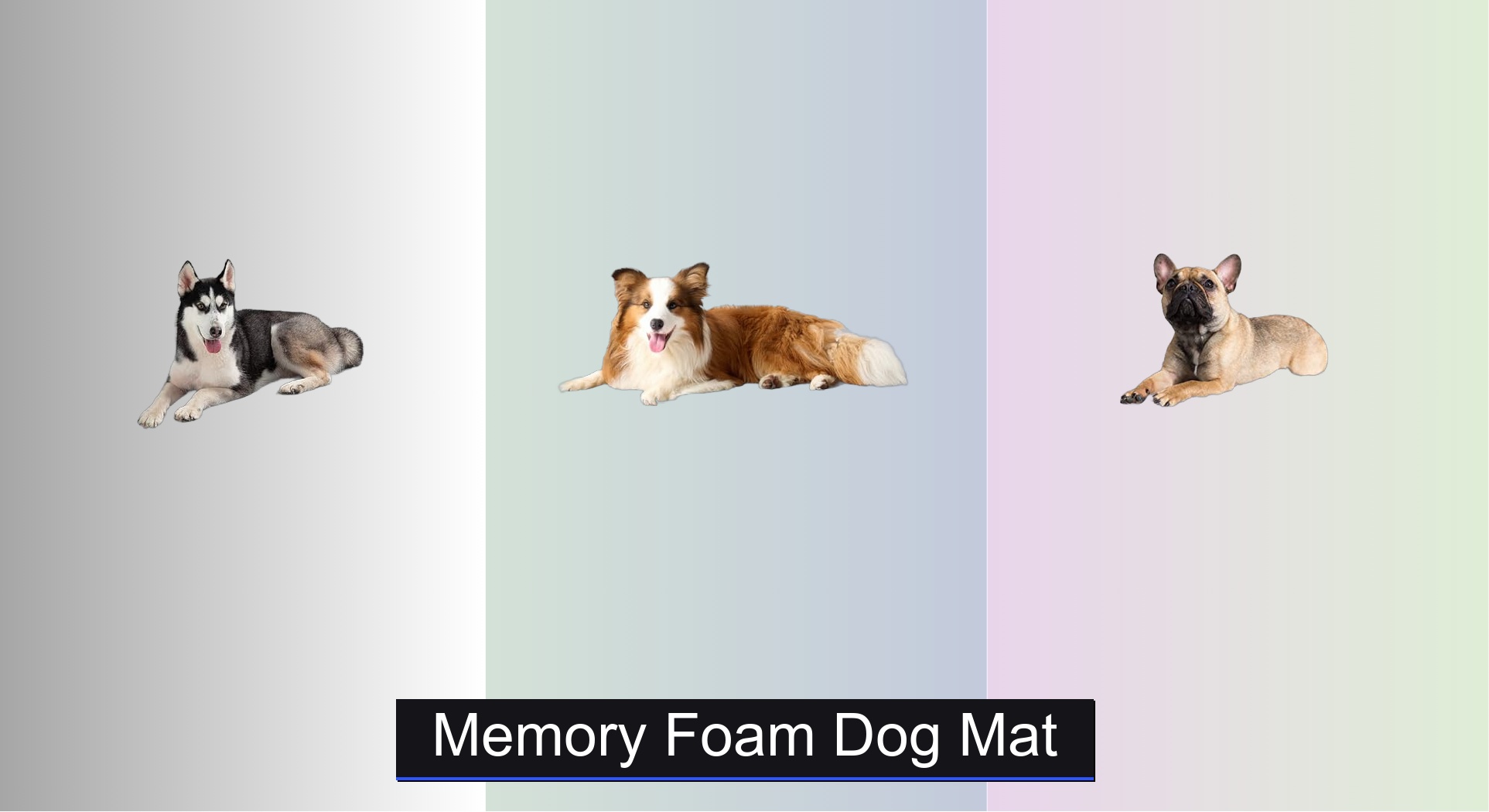 7 Best Memory Foam Dog Mats to Buy in 2025